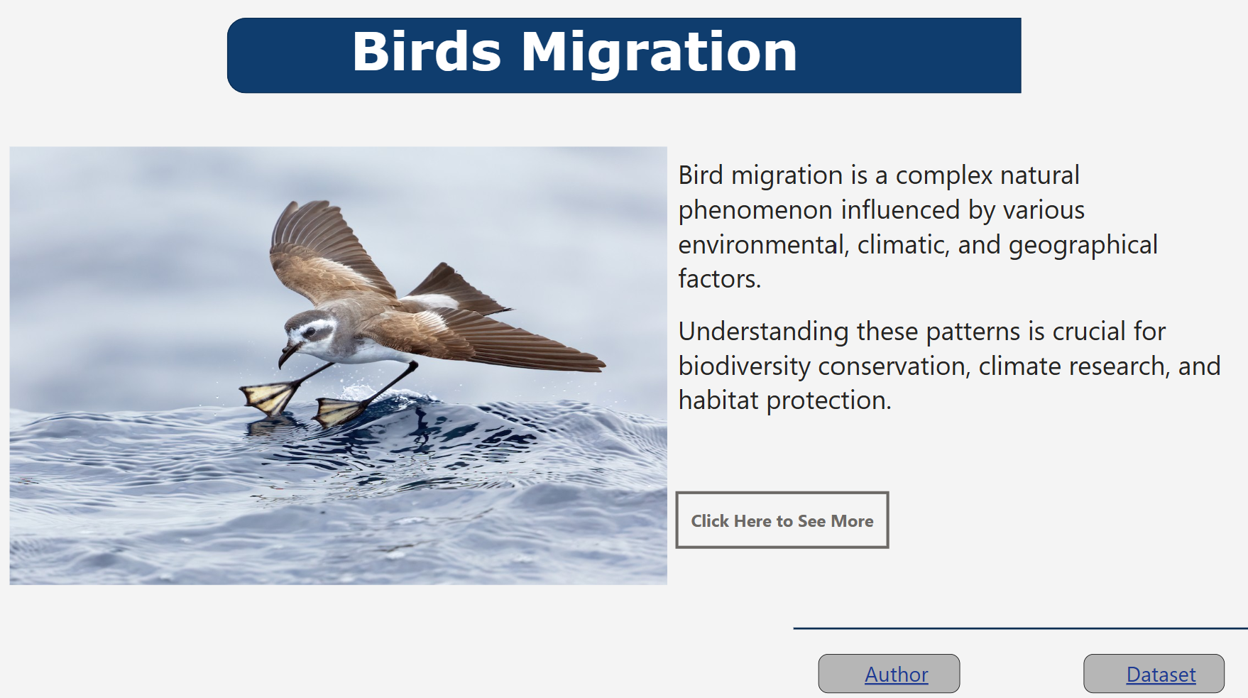 May 2025 - Annette - Bird_Challenge Dashboard - Microsoft Fabric Community