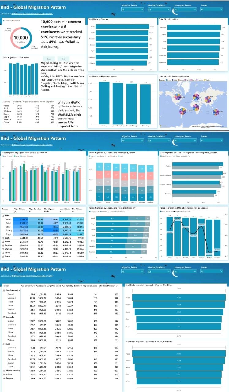 May 2025 - Habeeb - Bird Global Migration Patterns - Microsoft Fabric ...