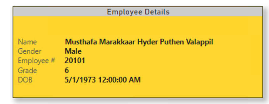Solved: Visual Type for Employee Details - Microsoft Fabric Community