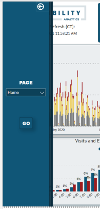 Show / Hide Page Navigation Slicer - Microsoft Fabric Community