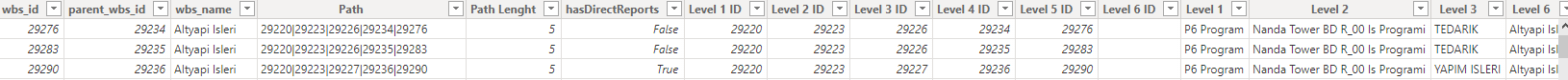 Repeating nested parent-child Hierarchy - Microsoft Fabric Community
