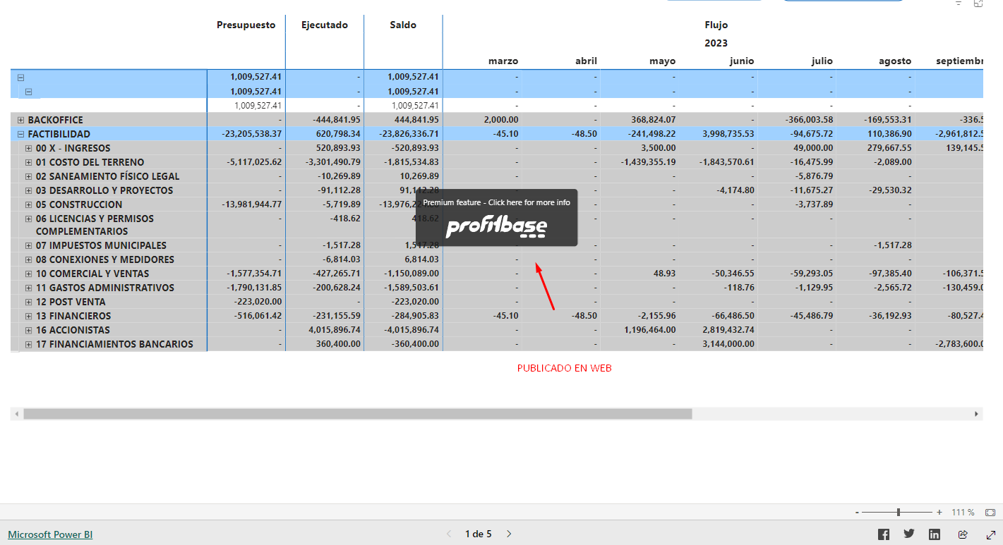 Financial Reporting Matrix By Profitbase - premium... - Microsoft ...